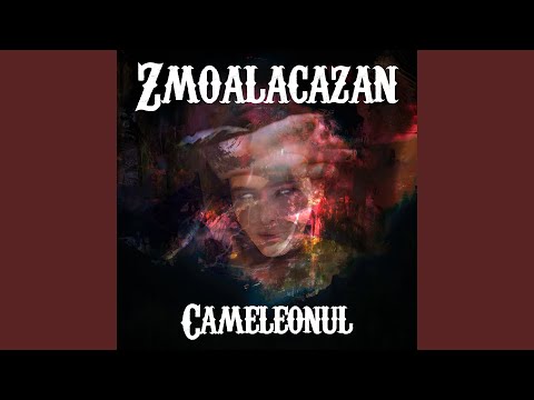 Nu Ştii
