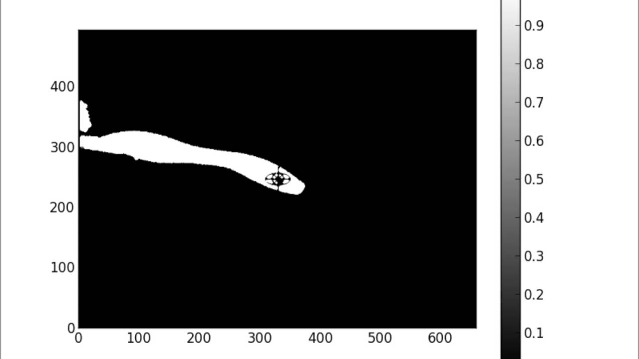 Fully automatic characterization and data collection from crystals of biological macromolecules