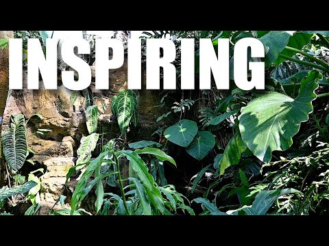 Narrative tour of the inspiring Olbrich Botanical Gardens Conservatory