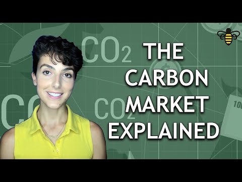 The Carbon Market Explained