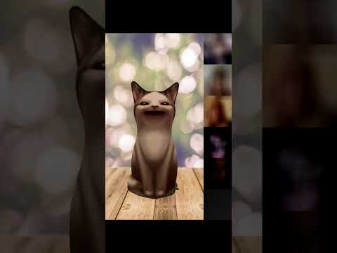 Re-UPload SHADOW GIRL EXPOSES mandisvodkasoaked onesie (used to mod for scammer Beth )