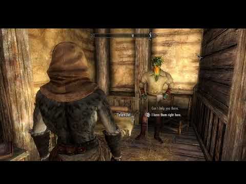 Steam Community :: Video :: Talen-Jei's bipolar dialogue bug.