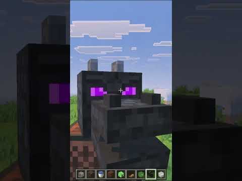 Why did Mojang do this? π³ | Minecraft Trivia