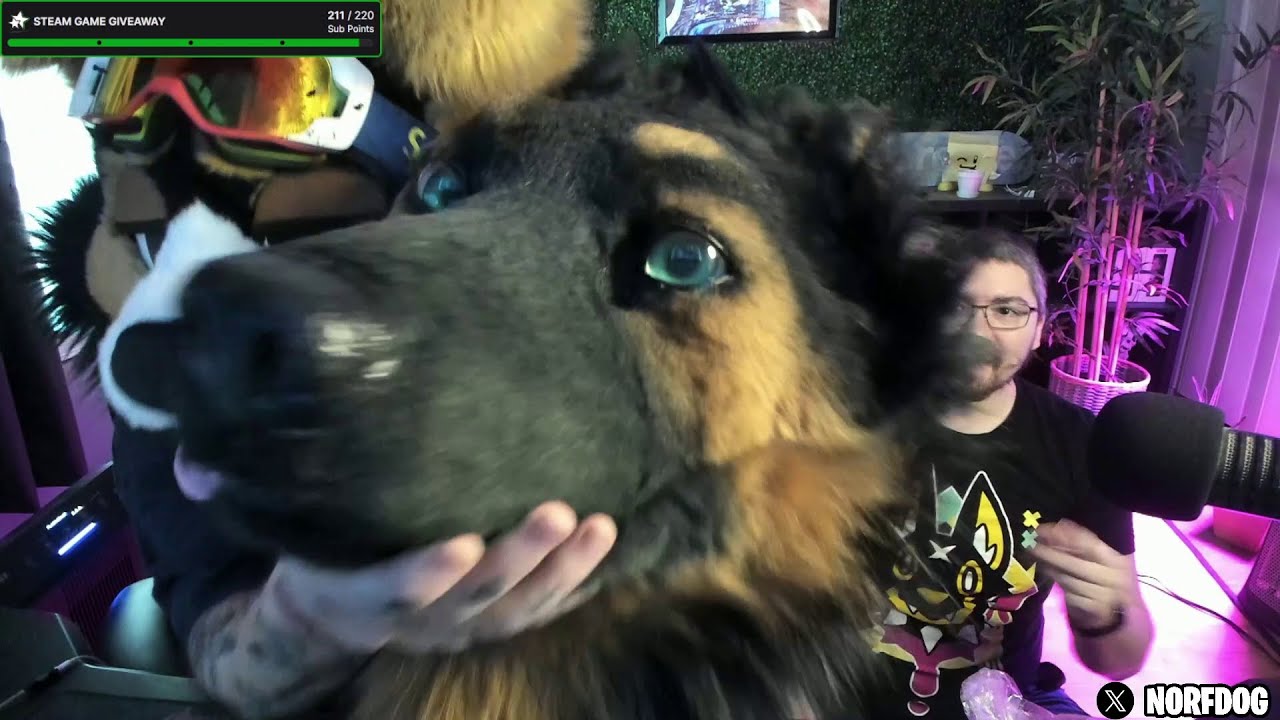 Automata Bohemian Shepherd Realistic Fursuit Unboxing
