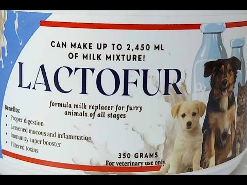 Vetnoderm Lactofur Powder Milk
