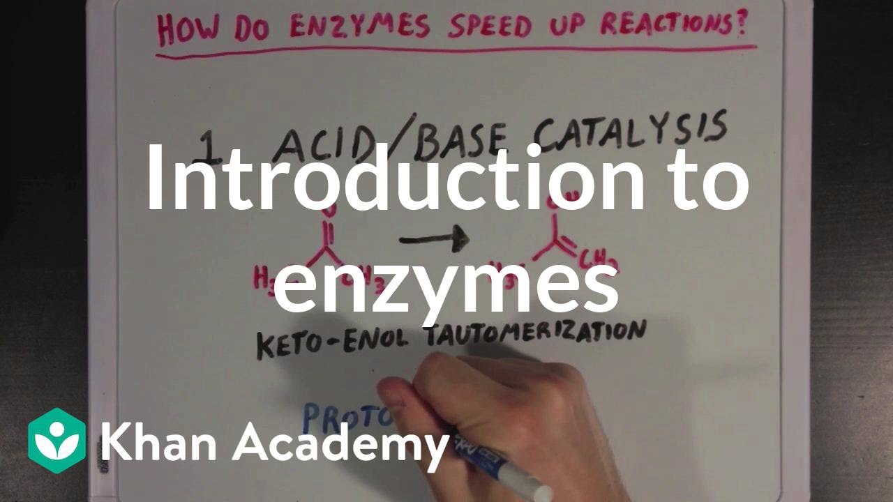 Introduction to enzymes and catalysis | Chemical Processes | MCAT | Khan Academy