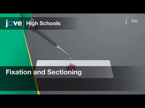 Fixation and Sectioning | Cell Bio | Video Textbooks - Preview