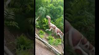 Jurassic Park June 10th 2017