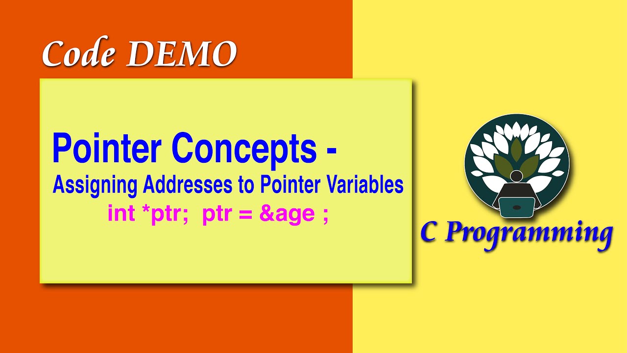 1D Pointer Concepts - Assigning Addresses to Pointer Variables Code DEMO