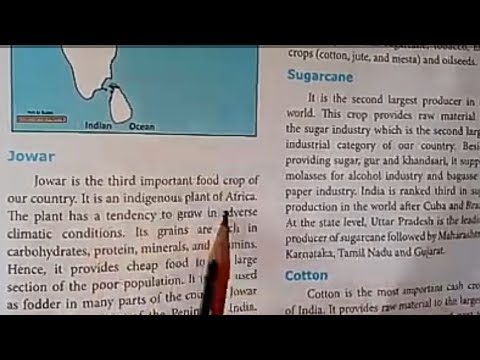 |TN Syllabus 10th Social Science|Geography Unit 3 INDIA: Agriculture|Topic:Food Crops and Cash Crops