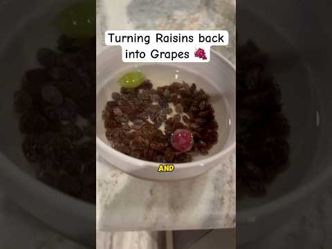 Turning Raisins back into Grapes 🍇