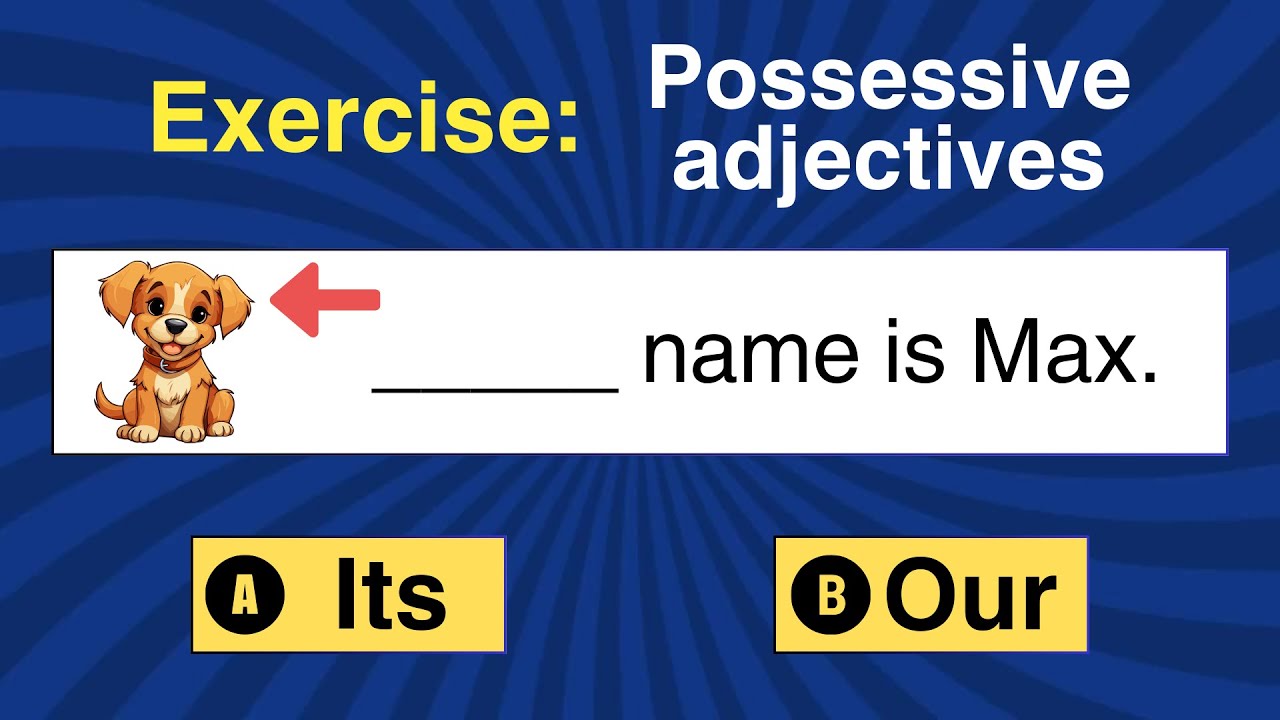 Exercise: Possessive adjectives