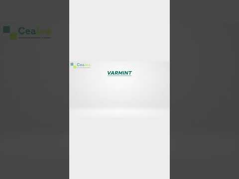 Learn How to Use Varmint - Varmint meaning, synonyms, antonyms, and example sentences.
