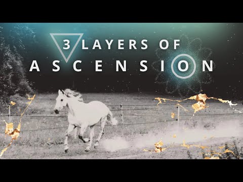 Old Soul: This Is The Blueprint Of Your Stem Cells⎮Kryon Late Night Series