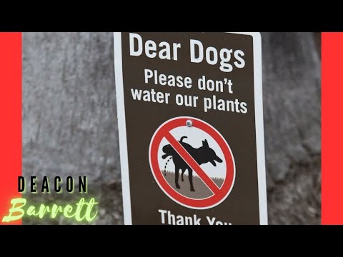 Deacon Barrett: Please Dogs, Don't Water Our Plants