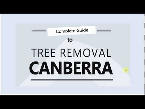 What You Need to Know About Canberra Tree Lopping – Aussie Tree Lopping ...
