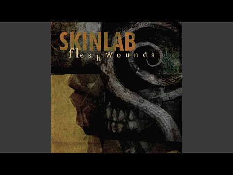 Skinlab Premiere New Song “Flesh Wounds” – Metal Anarchy