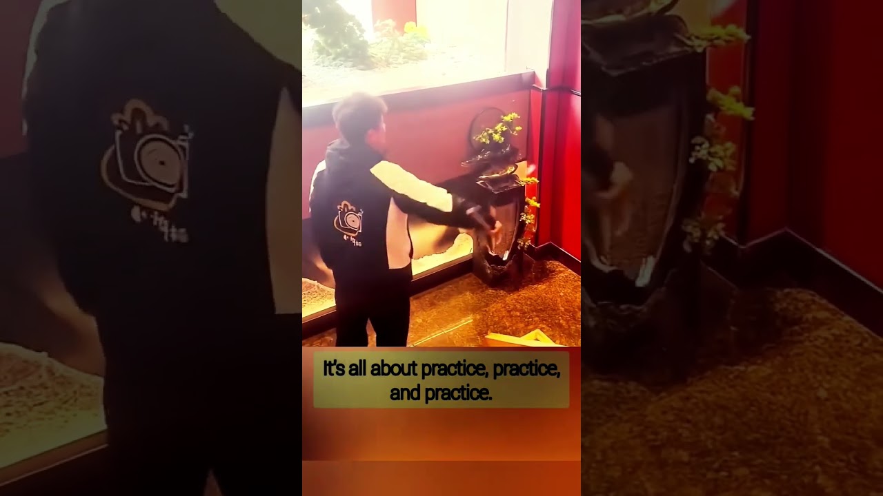 Practice makes one perfect | #shorts #perfect