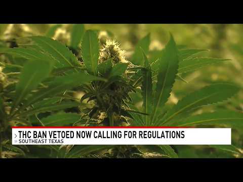 Texas businesses and law enforcement call for stricter THC regulations