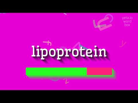 How to say "lipoprotein"! (High Quality Voices)
