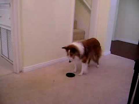 Einstein in hallway (target dot)