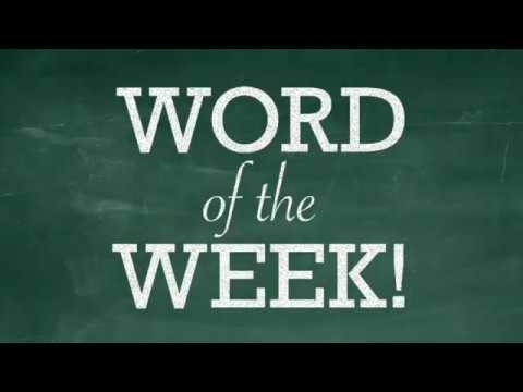 NAIC WORD OF THE WEEK - ADJUSTER