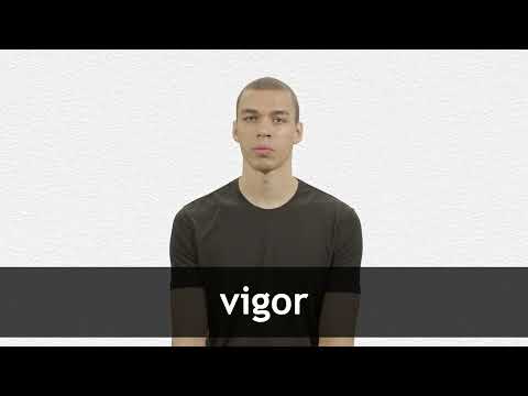 How to pronounce VIGOR in American English