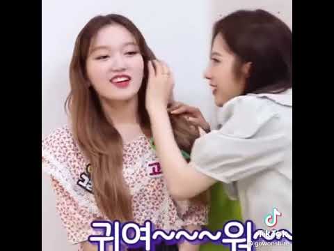 LOONA is 12 members and 12 personality
