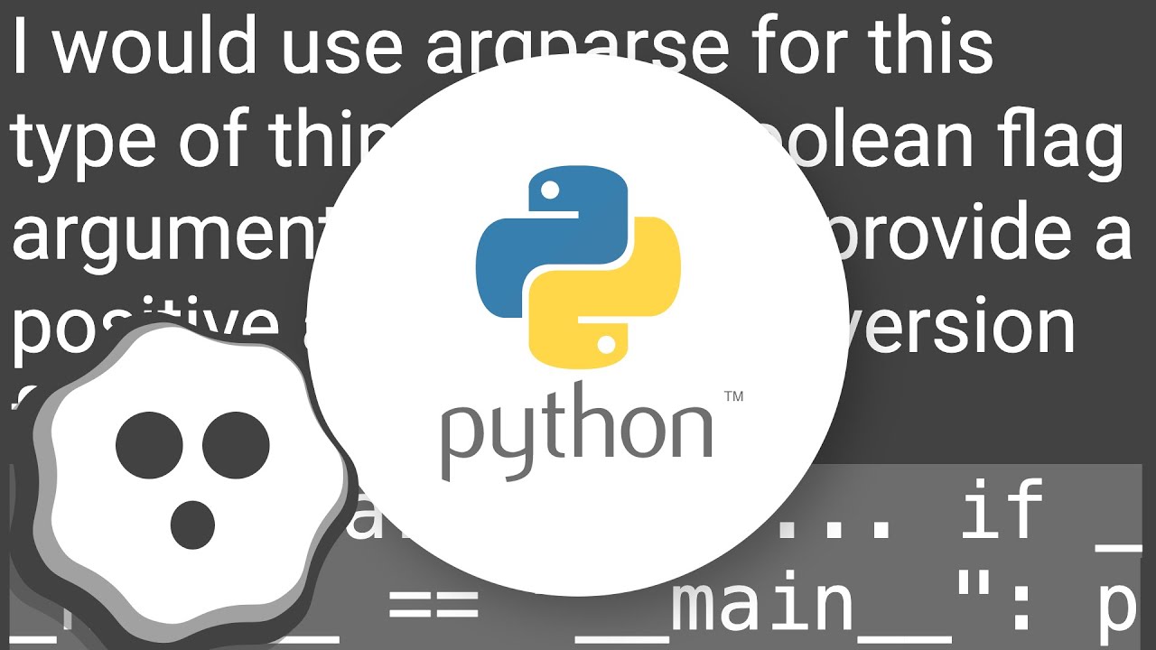 How to run a Python file with boolean arguments