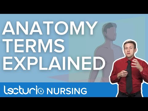 Anatomy Terminology Explained | Lecturio Nursing Anatomy