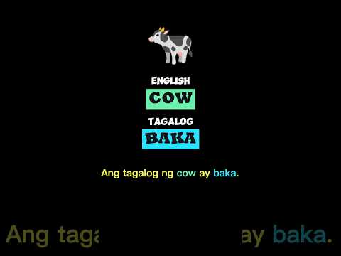 Cow - Baka 🐄 | English Tagalog #translation