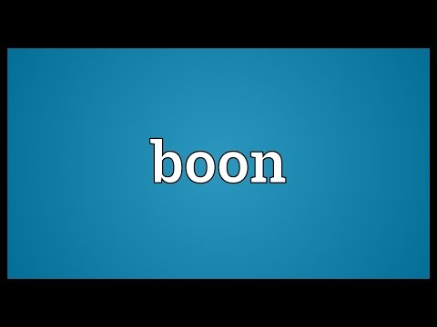 Boon Meaning