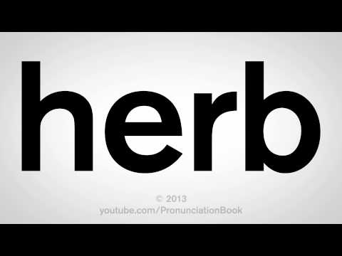 How to Pronounce Herb