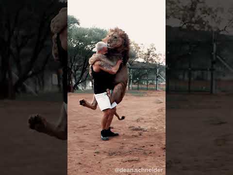 Lion Jump????
