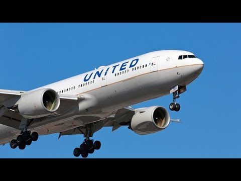 Tragic Discovery on United Airlines Flight to Maui