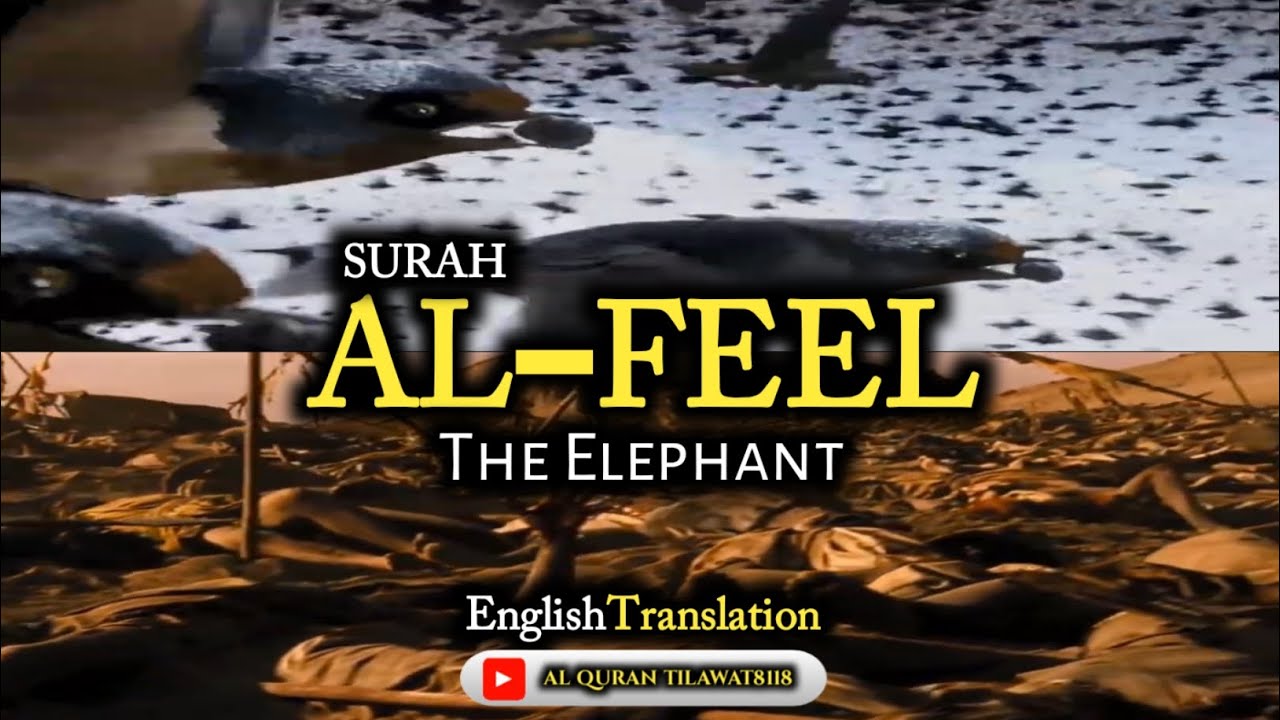 Surah Al Feel the Elephant with English Translation Mishary Rashid Alafasy