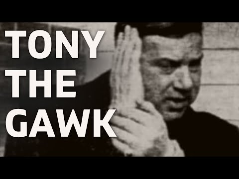 The Tragic Tale of Colombo Soldier Anthony (Tony the Gawk) Augello
