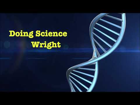 Differentiation and Stem Cells - IB SL Cellular Biology