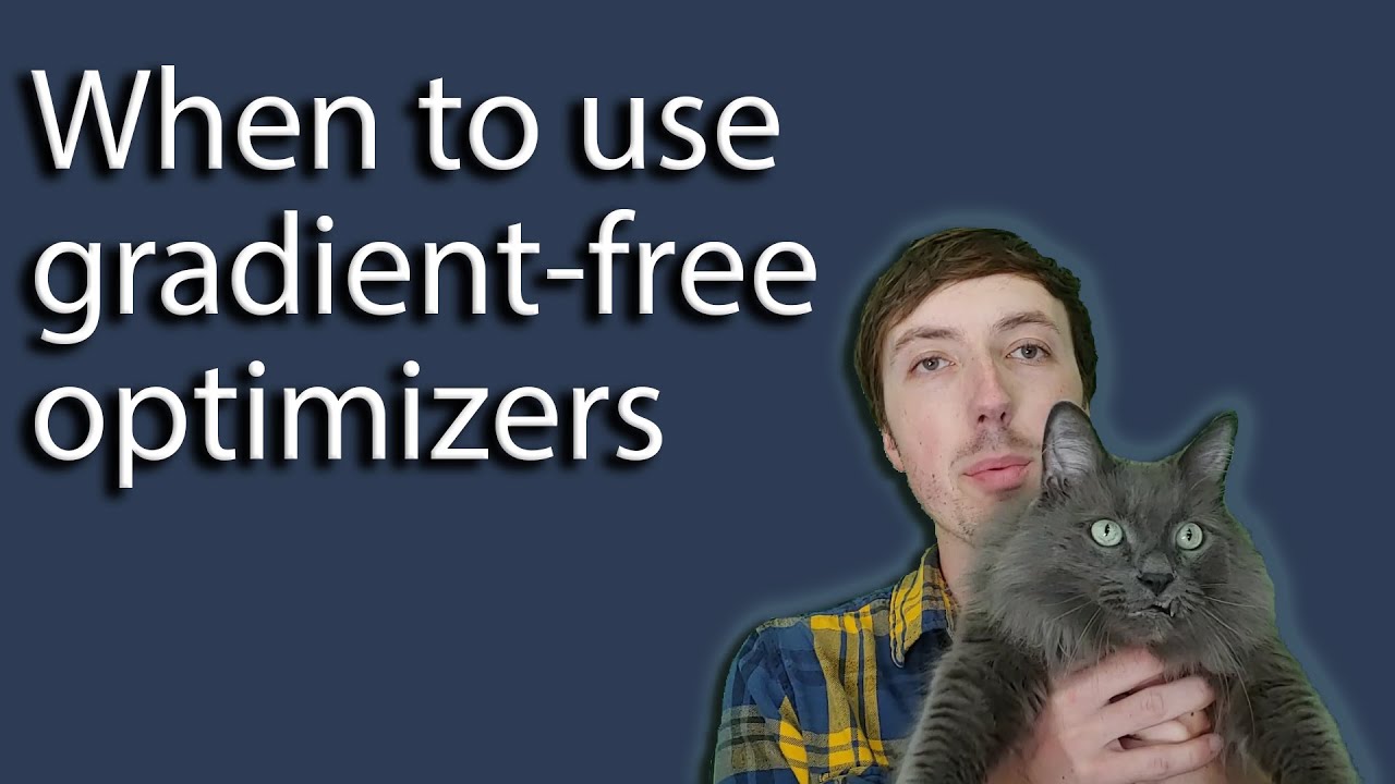 When to use gradient-free optimizers