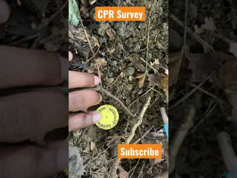 How to identify property corners