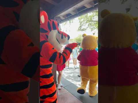 Winnie The Pooh and Tigger! °o° #disney #disneyworld #tigger #epcot #magickingdom #winniethepooh