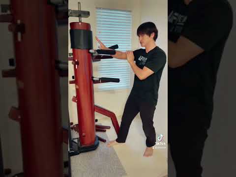 Jeet Kune Do 5 Gates Section 5A #shorts