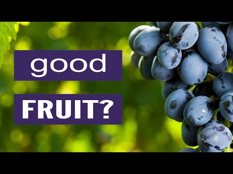 Bearing Fruit: How do we bear fruit for the Kingdom? (Bible Study)