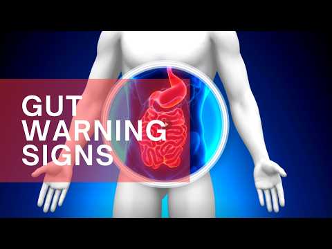 What Your Gut Is Trying to Tell You (Signs You Shouldn’t Ignore)