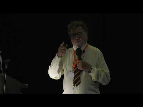 Prof. Remo Ruffini - Derivation of the existence of the Black Holic Quantum from GRBs