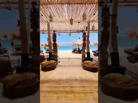 best hotel rooms in the world - we tour the most unique theme room hotel in the world! #hotelrooms