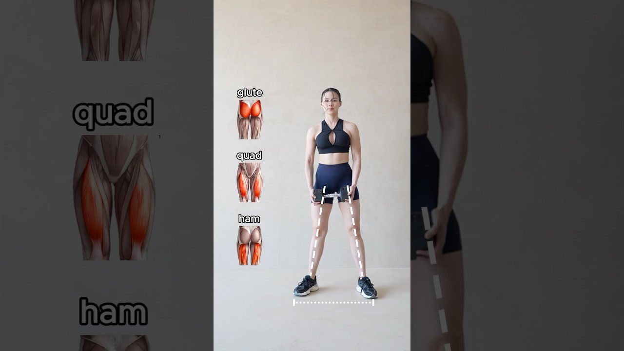 📌FIND YOUR STANCE | Lower Body Exercises Stance for more Glutes vs. Quads vs. Hams vs. Adductors