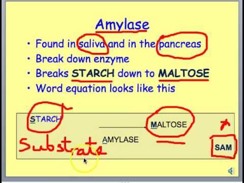 National 5 Biology Key area 1 5 enzymes video 1