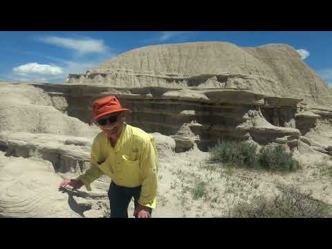 Toadstool Park HD 1080p