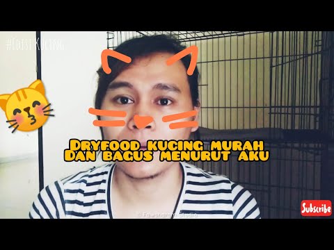 DRYFOOD KUCING PENGGANTI PROPLAN DAN ROYAL CANIN BAGUS DAN MURAH MENURUT RISET KU | EdisiKucing 004